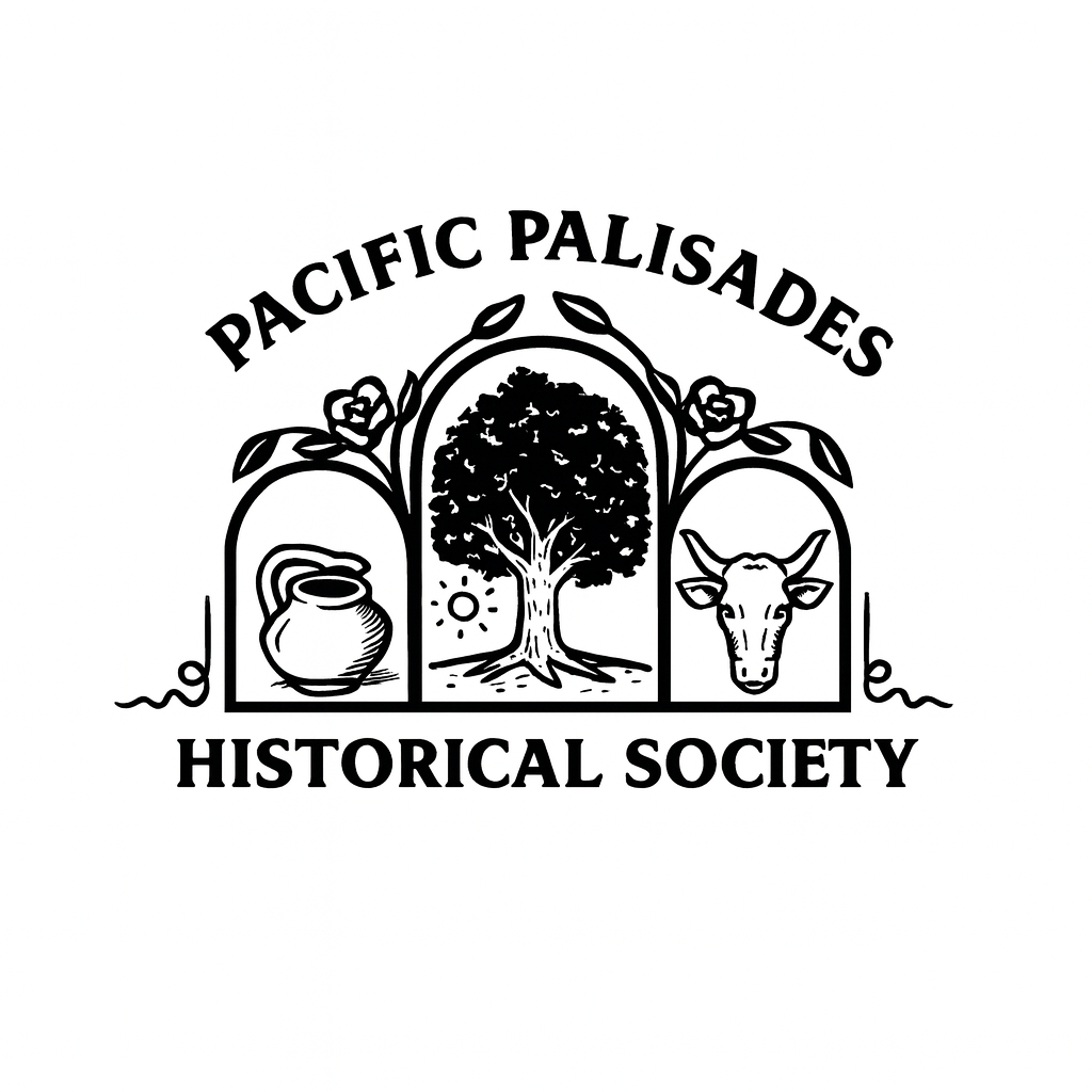 Pali Strong - Pacific Palisades Wildfire Recovery & Rebuild Resources